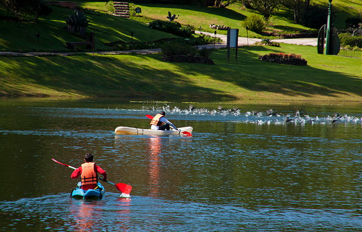 Activities | Sierra Lago Resort & Spa